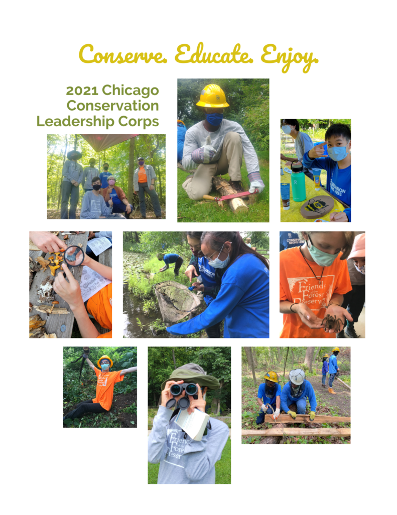 Forest Preserve Foundation Awards $130,000 in Grants for Two Youth ...