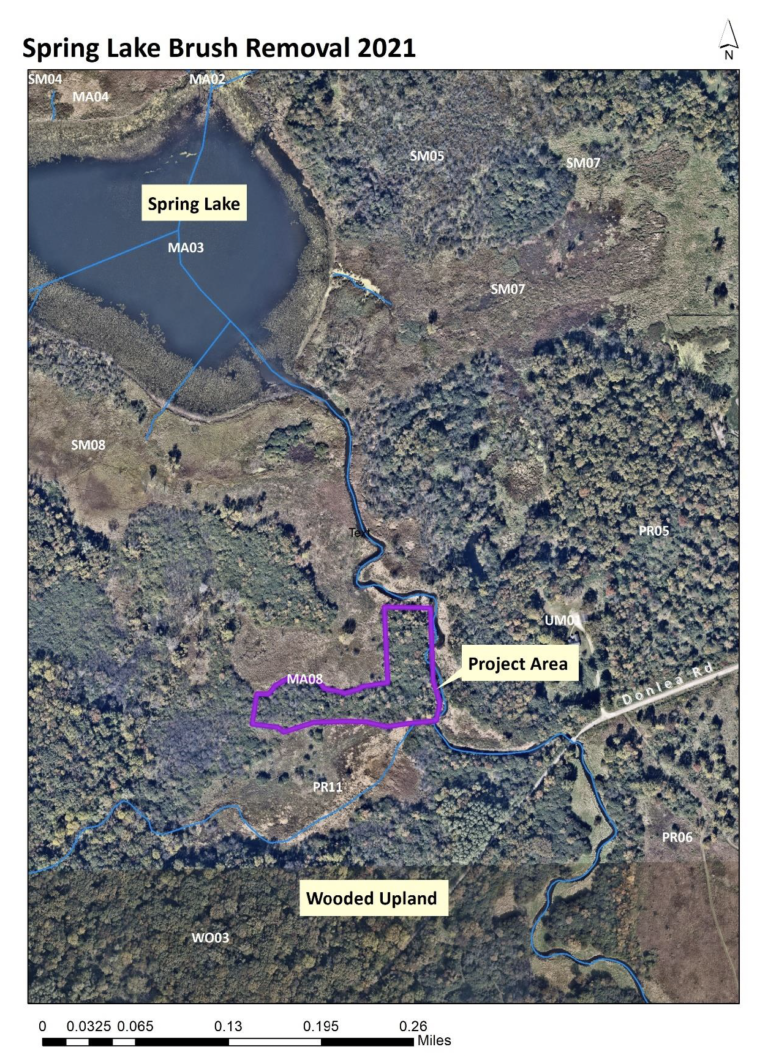 Restoration Support for Spring Lake Nature Preserve