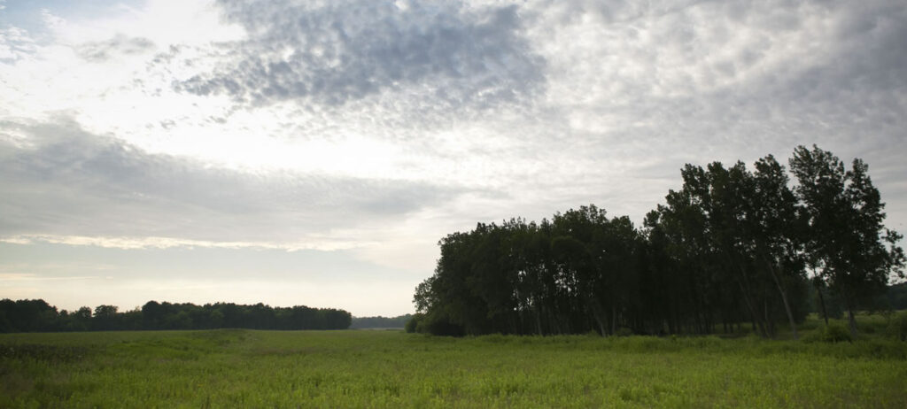 Restoration Support for Spring Lake Nature Preserve